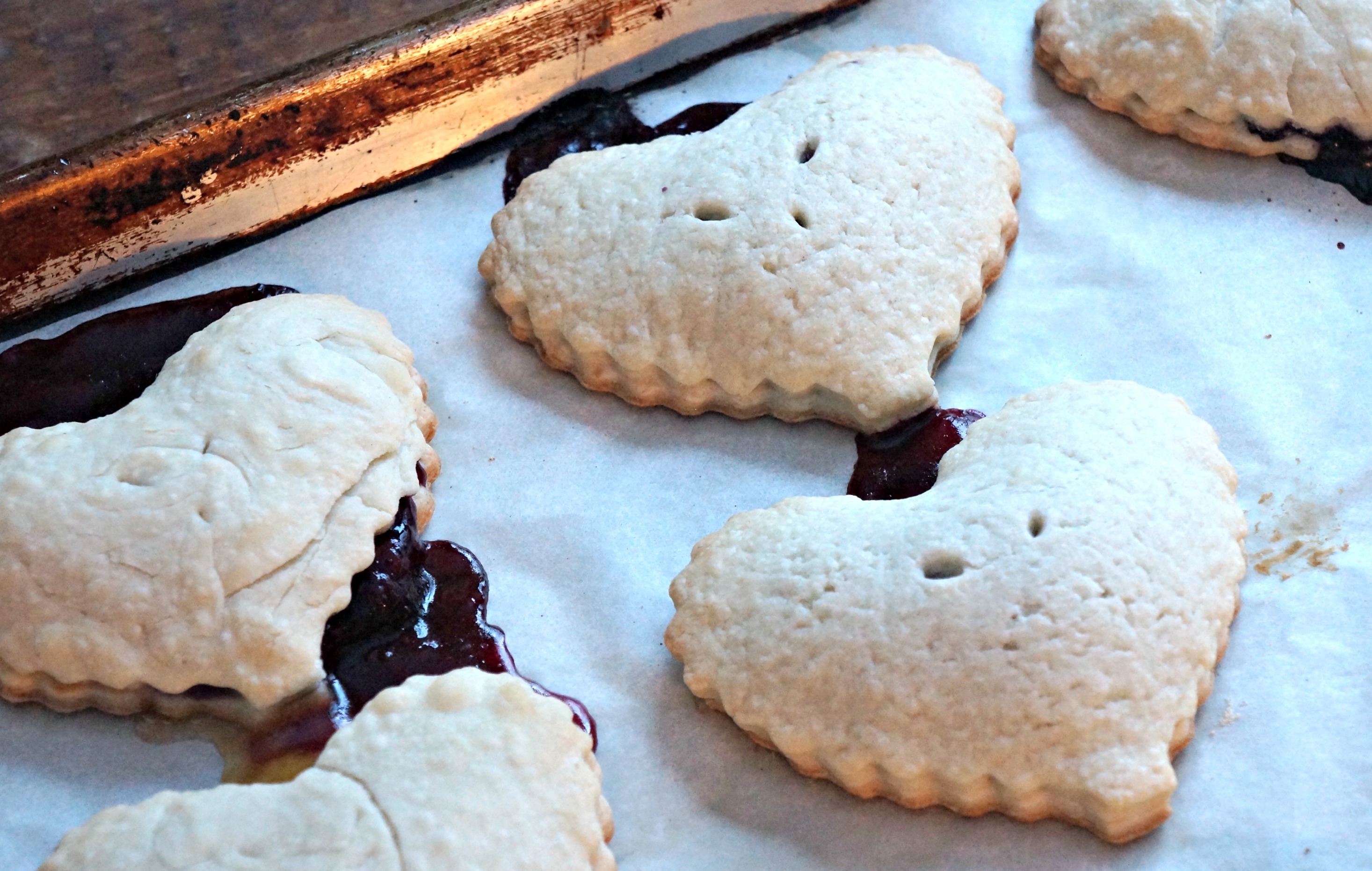 Blueberry Picking NH | Berrybogg Farm | Pick Your Own Blueberries