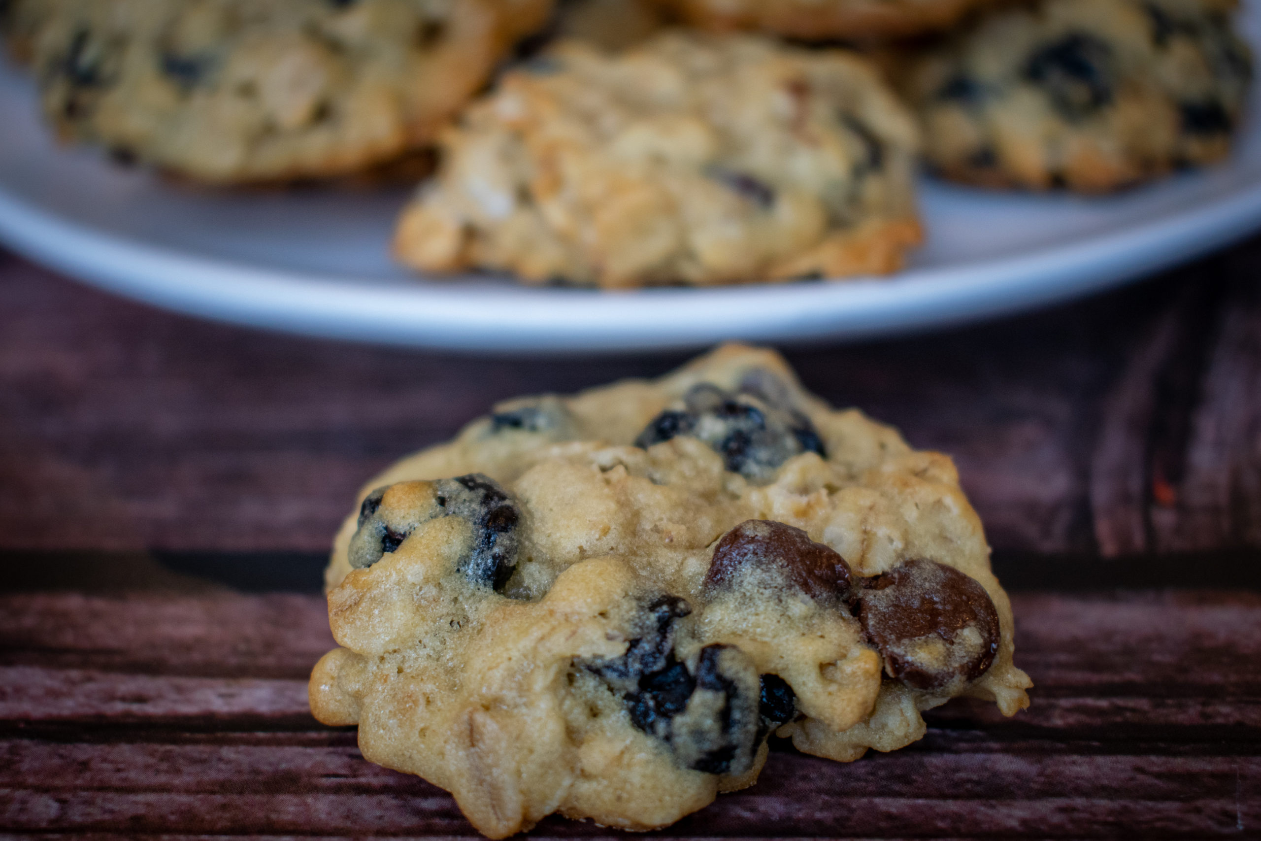 Blueberry Picking NH | Berrybogg Farm | Pick Your Own Blueberries
