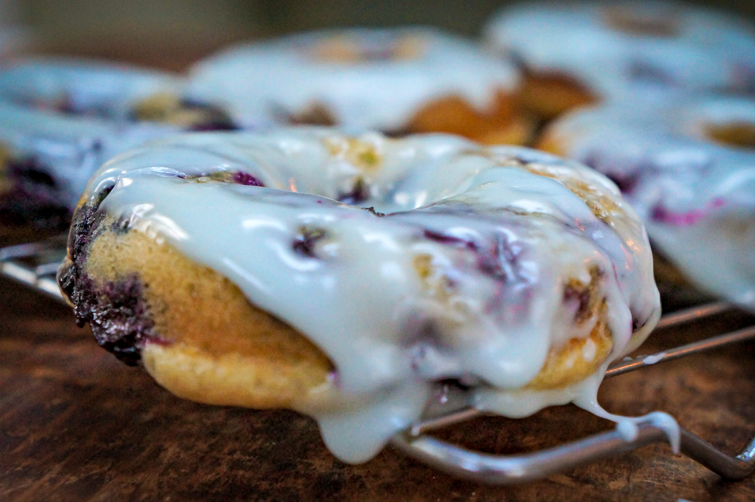 Blueberry Picking NH | Berrybogg Farm | Pick Your Own Blueberries