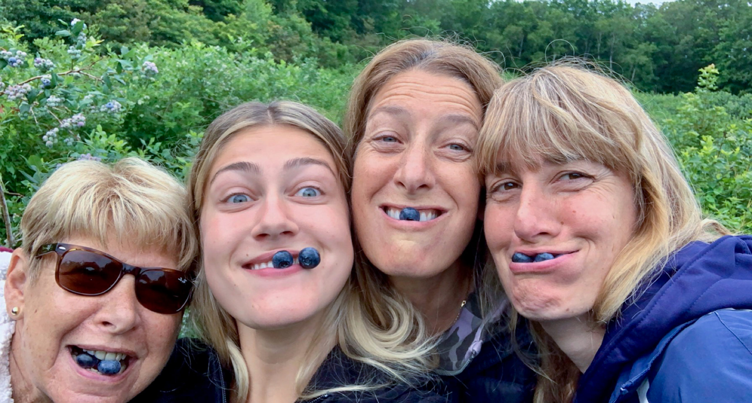 Blueberry Picking NH | Berrybogg Farm | Pick Your Own Blueberries