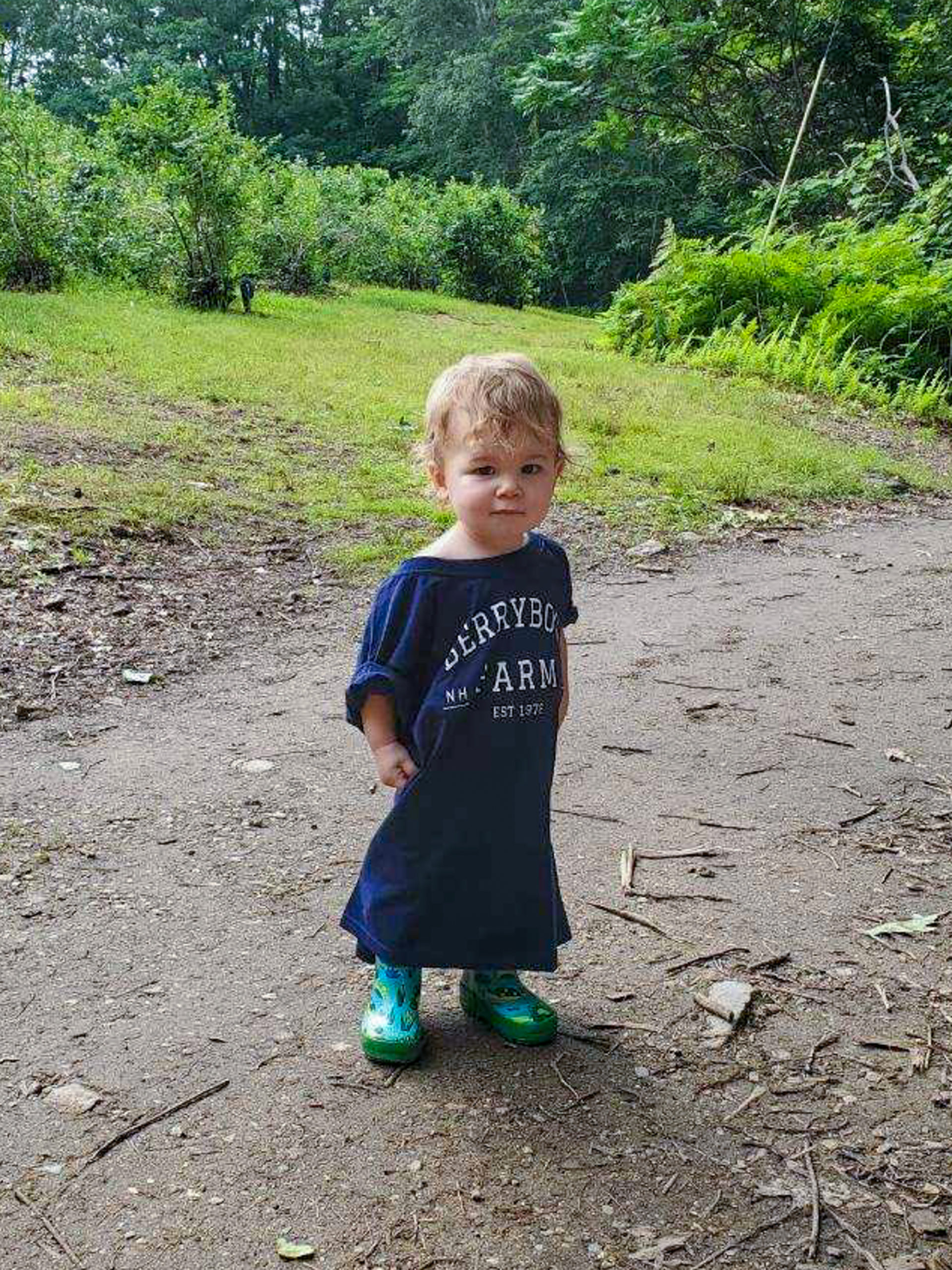 Blueberry Picking NH | Berrybogg Farm | Pick Your Own Blueberries