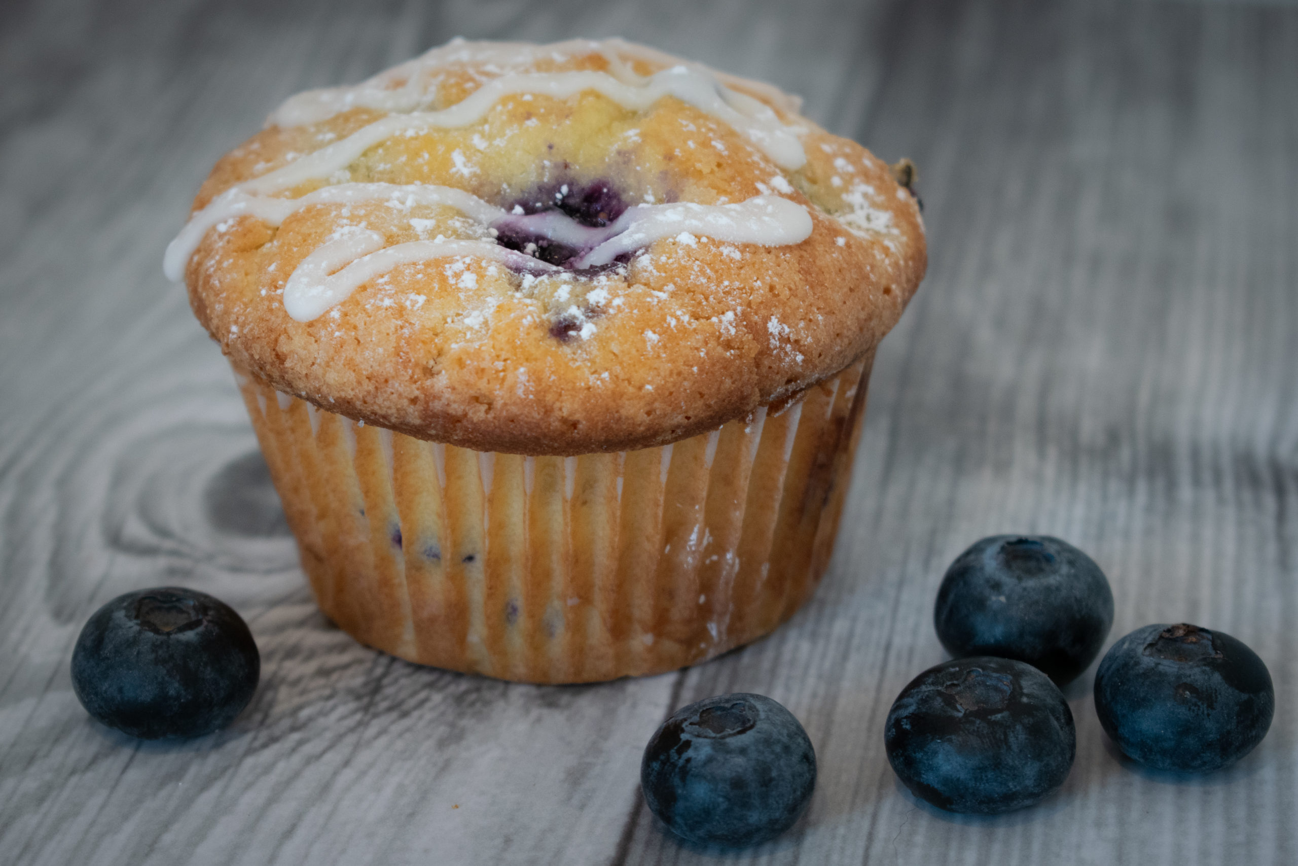 Blueberry Picking NH | Berrybogg Farm | Pick Your Own Blueberries