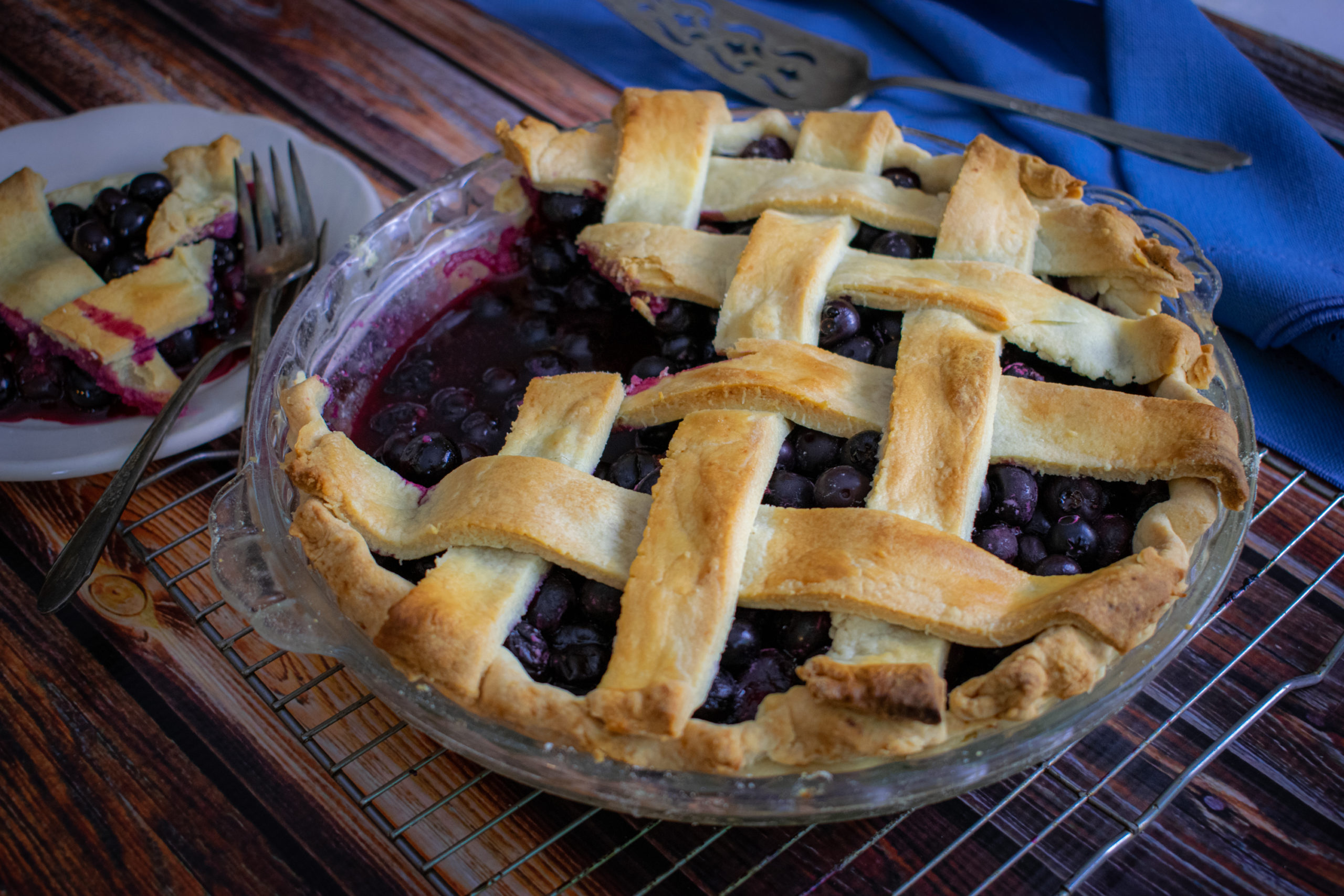 Blueberry Picking NH | Berrybogg Farm | Pick Your Own Blueberries